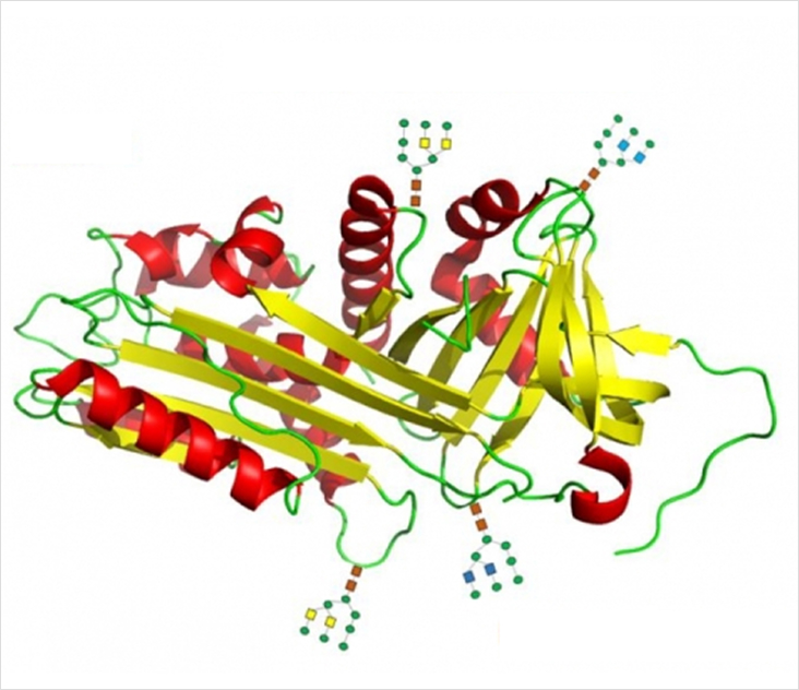 알테오젠 ALTEOGEN